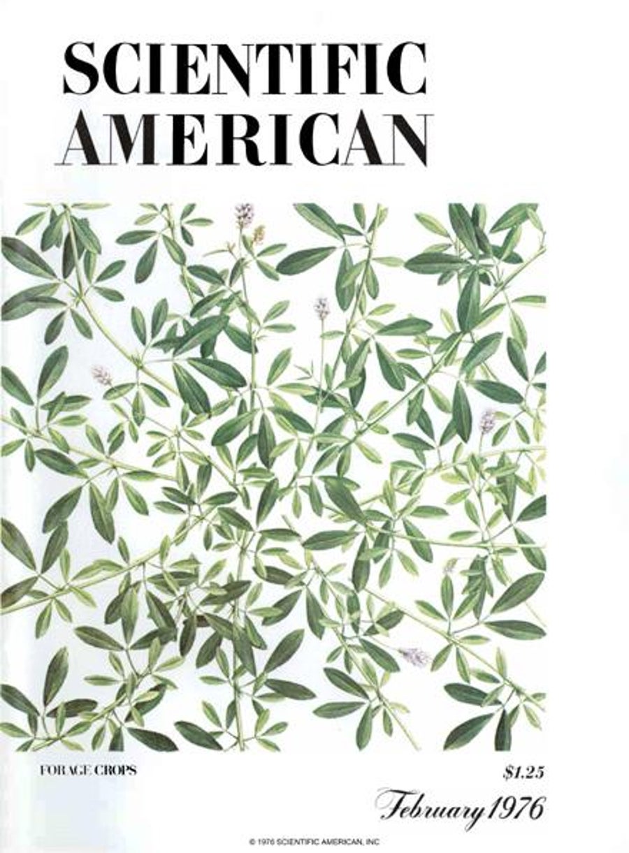 The Biological Clock of Insects | Scientific American