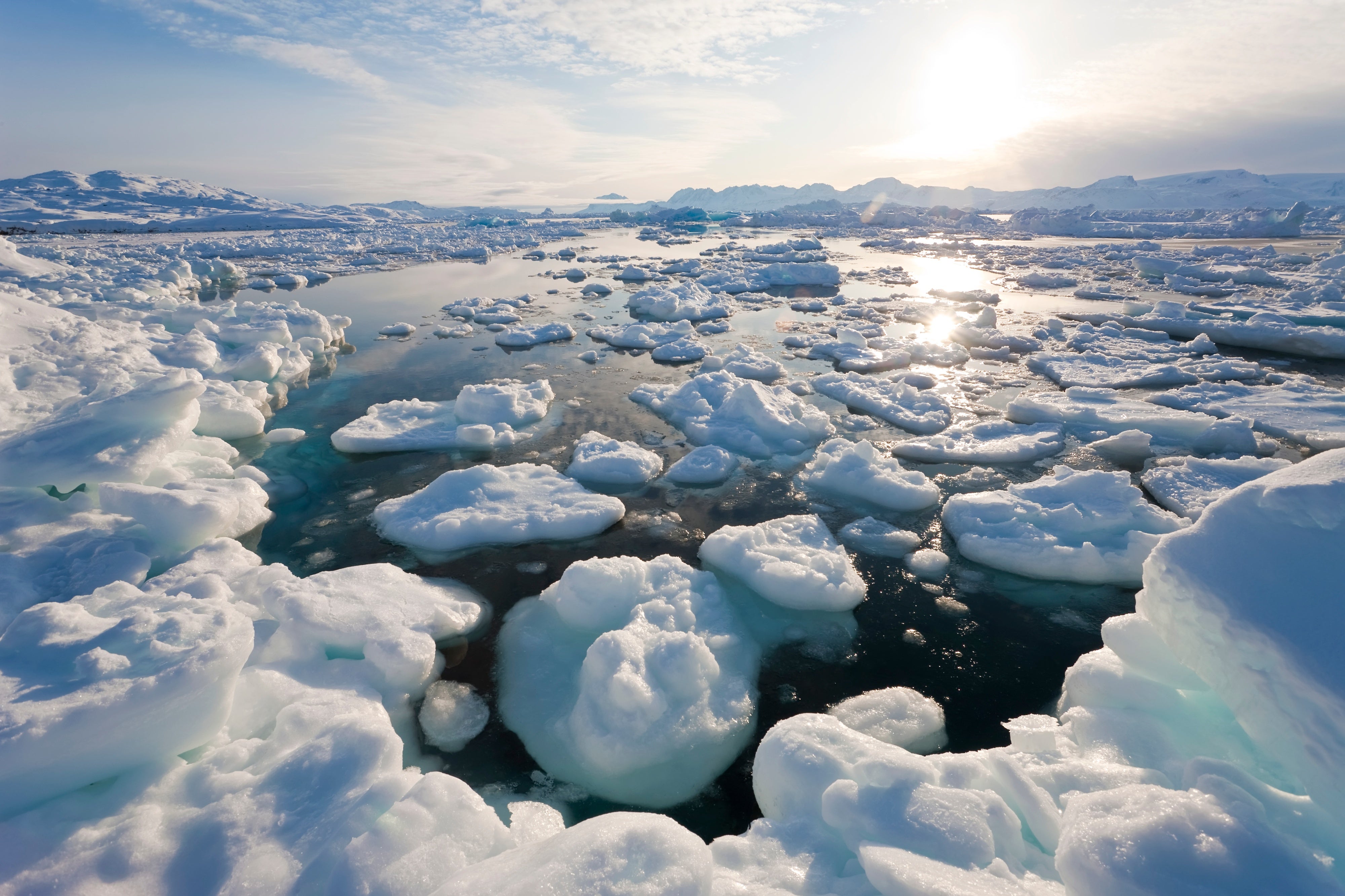 Polar Caps Climate