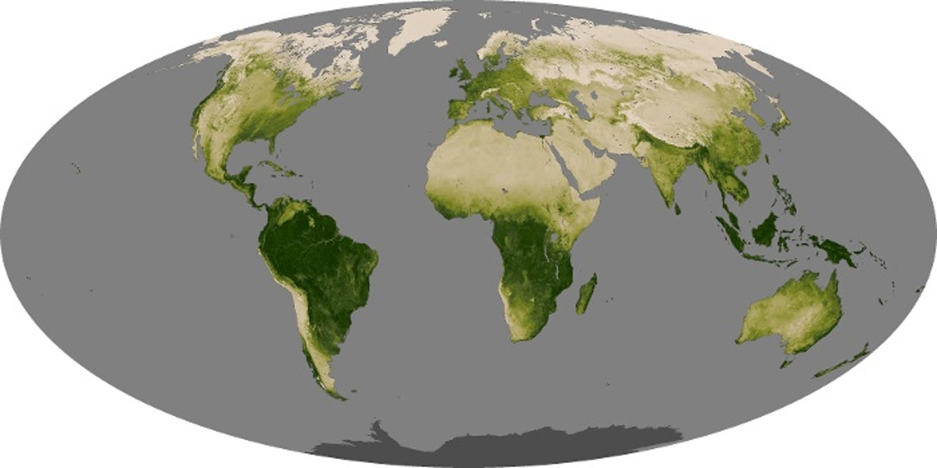 Earth Stopped Getting Greener 20 Years Ago | Scientific American