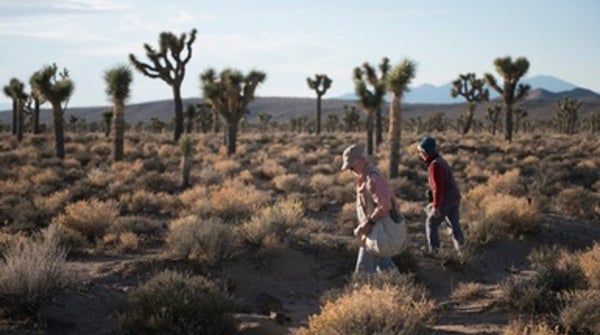 The Ambitious Effort to Document California's Changing Deserts ...