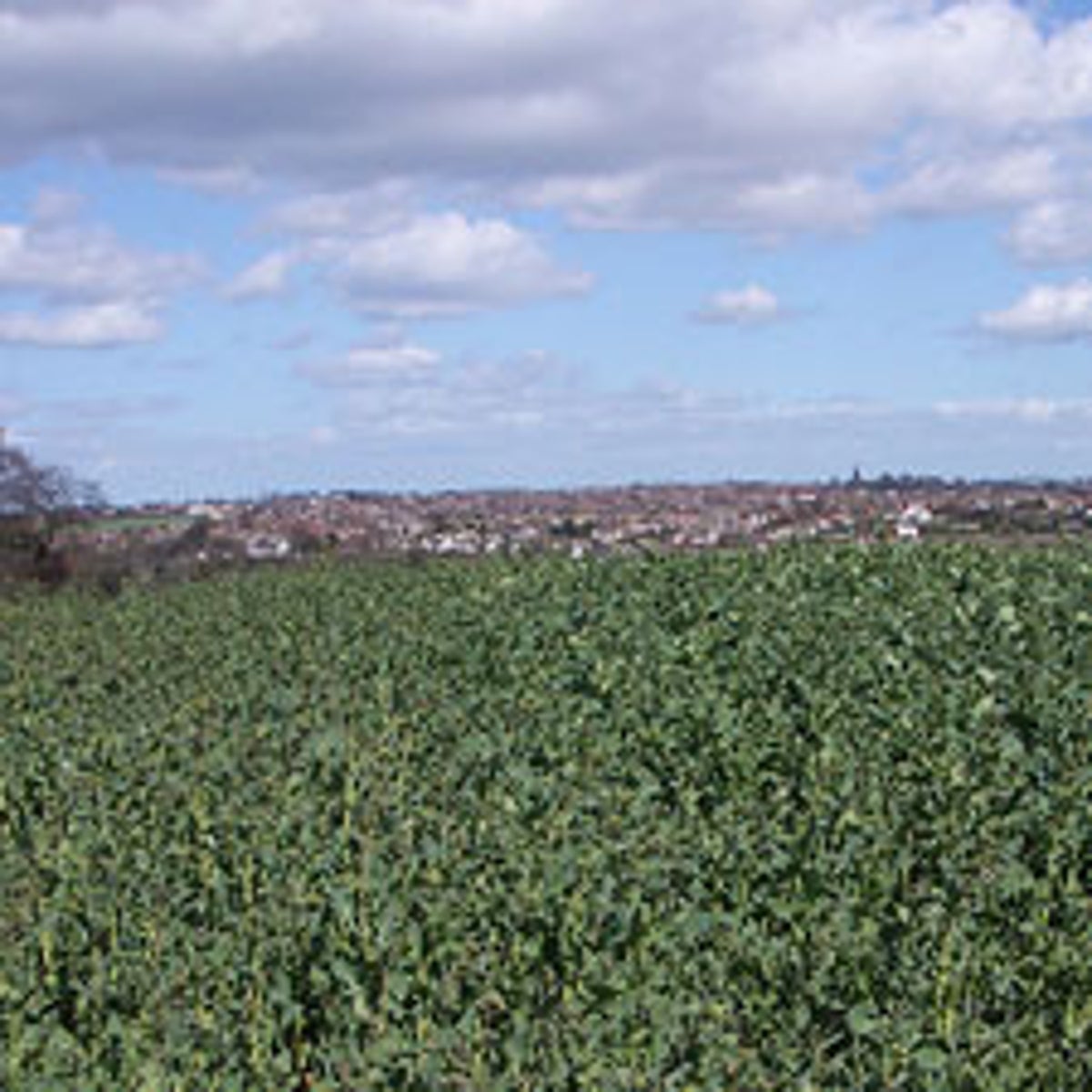 The Deepening Crisis: When Will We Face the Planet's Environmental ...