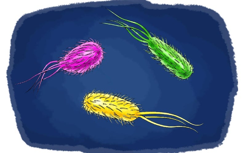 How Do You Stop Superbugs? - Scientific American