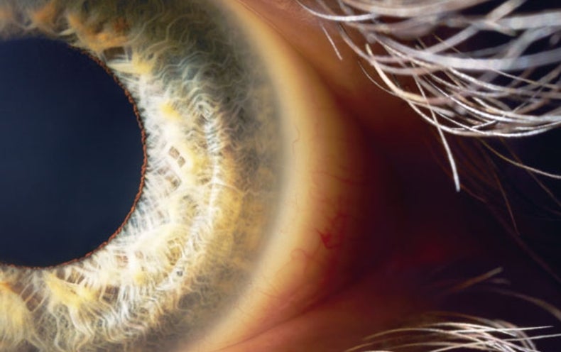 New Technologies Track Our Eyes--And Read Our Minds - Scientific American