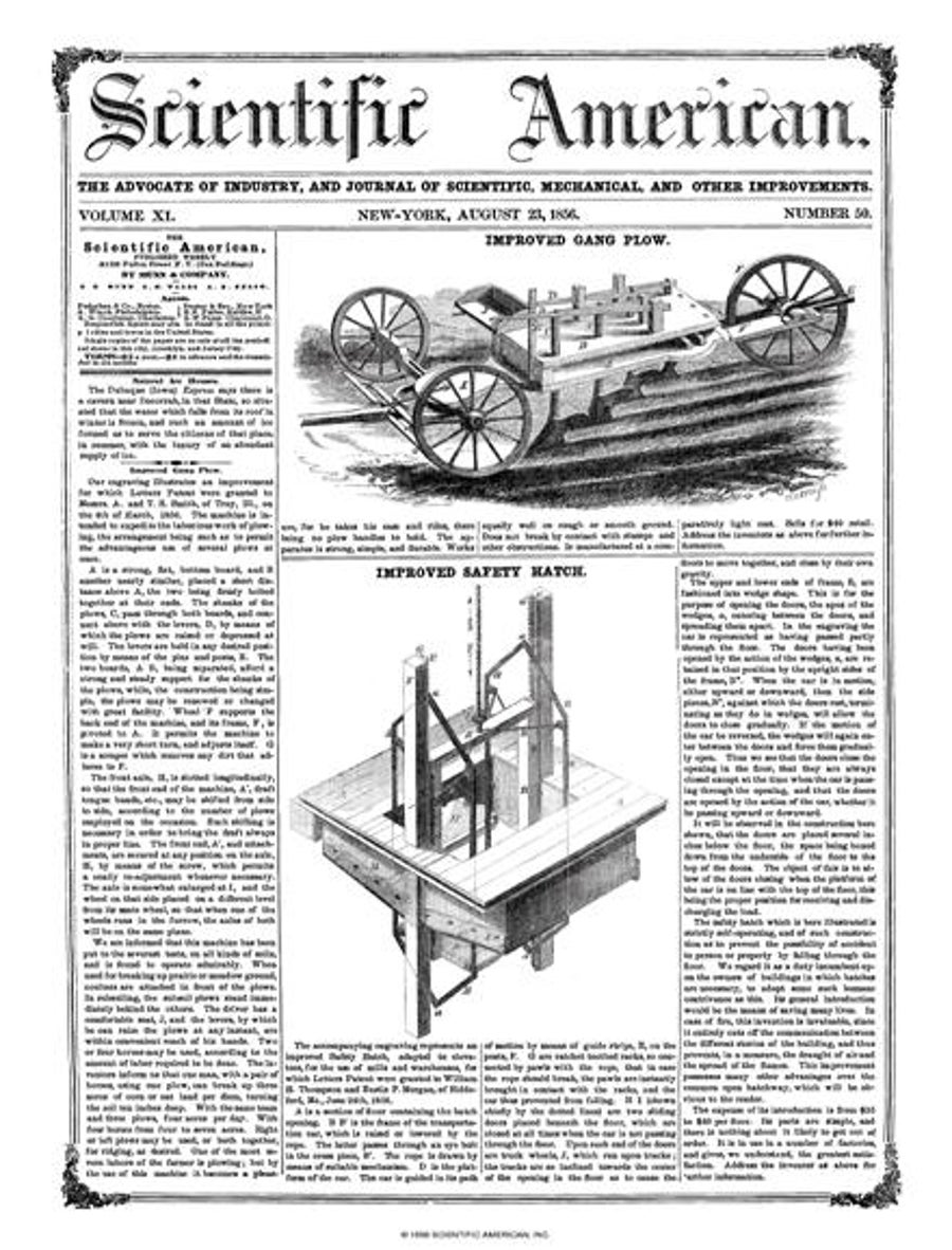 Boucherie's Process for Preverving Wood from Decay | Scientific American