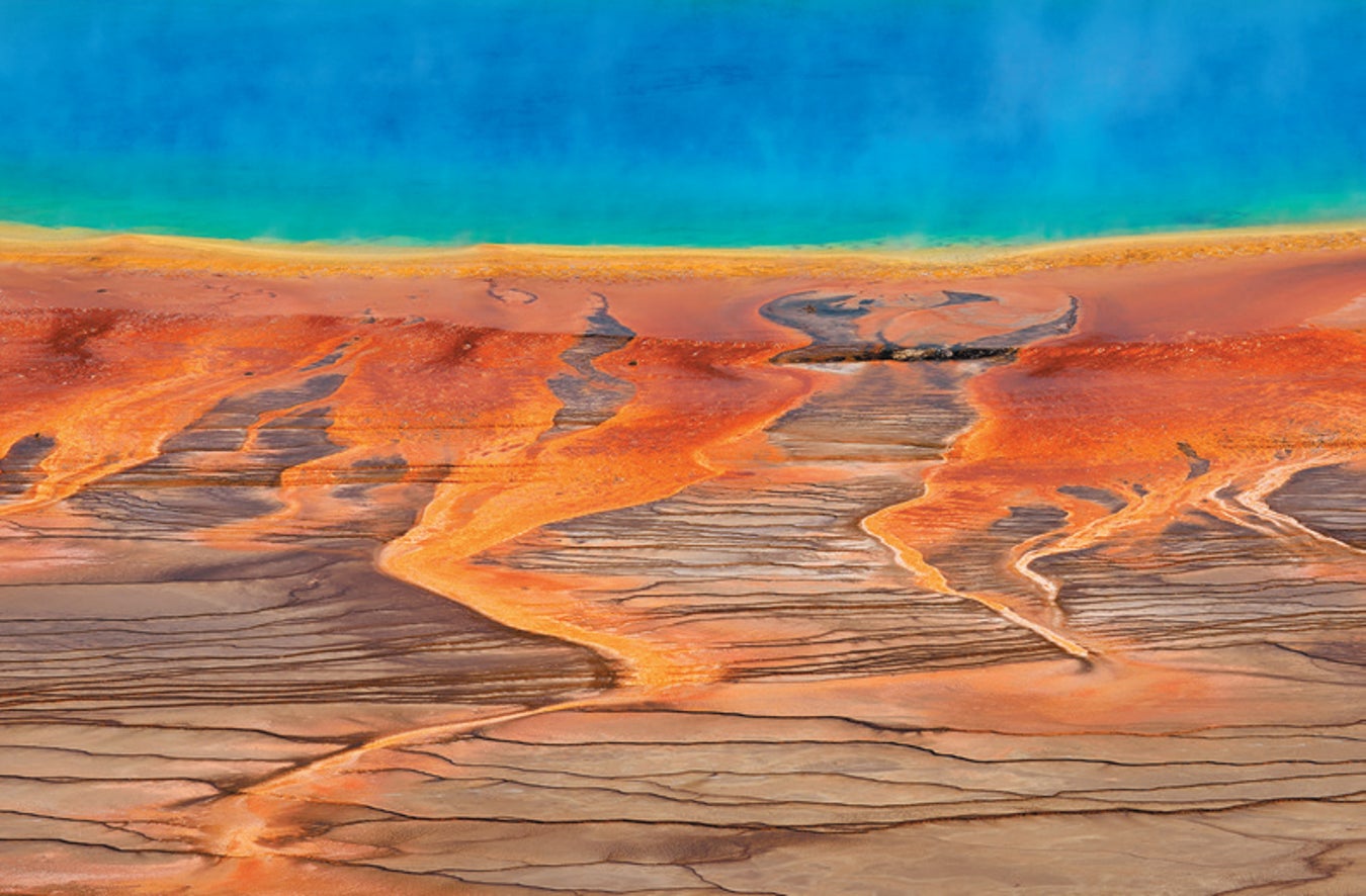 How Did Life Begin on Earth? | Scientific American