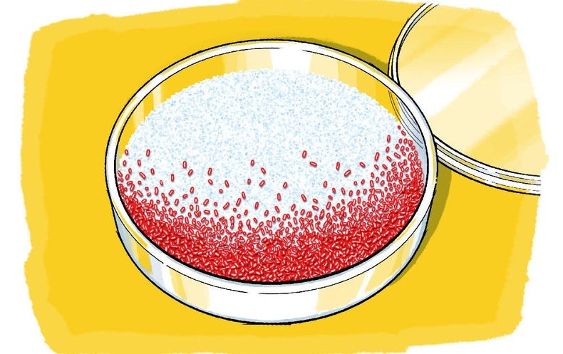 All Mixed Up? Discover the Brazil Nut Effect - Scientific American