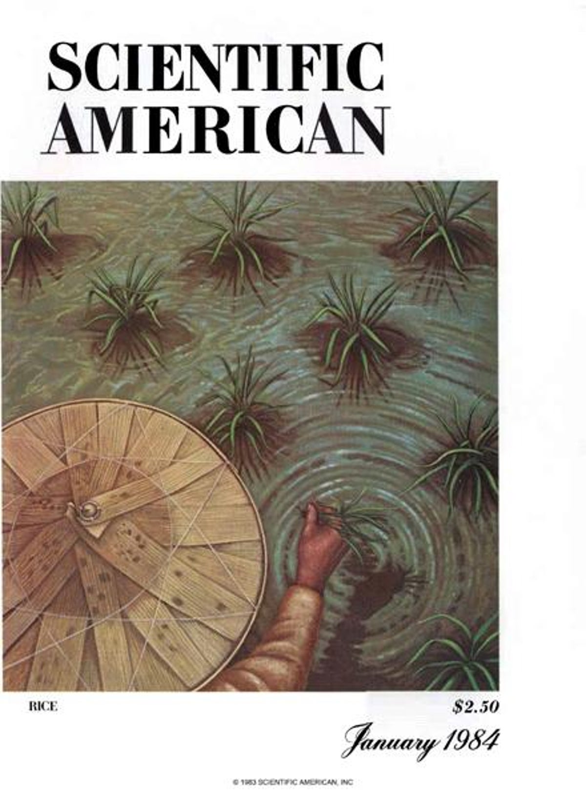 Scientific American Volume 250, Issue 1 | Scientific American