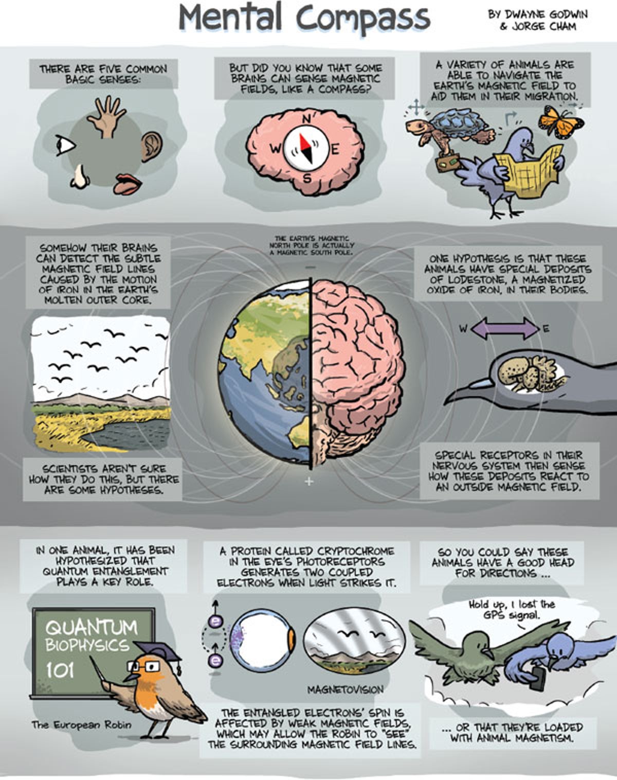 Why Some Animals Have a Head for Directions [Cartoon] | Scientific American