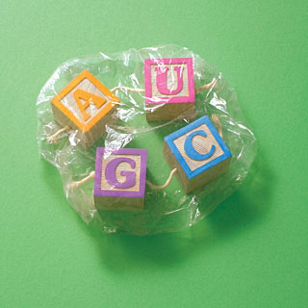 The Origin of Life on Earth | Scientific American