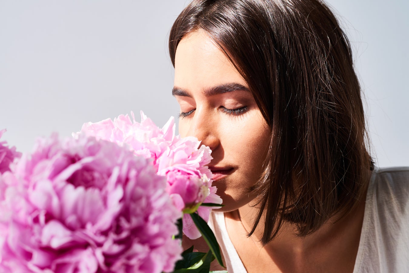 How We Are Wired for Smell | Scientific American