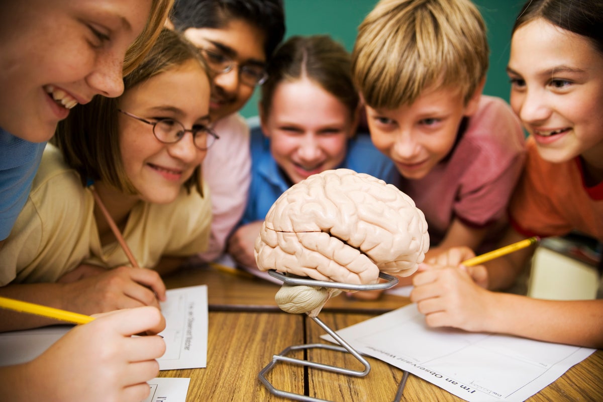 U.S. Students Improve in Science--but Just Barely | Scientific American