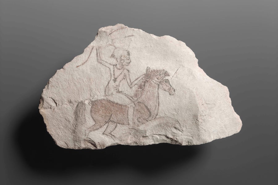 Humans Started Riding Horses 5,000 Years Ago, New Evidence Suggests ...