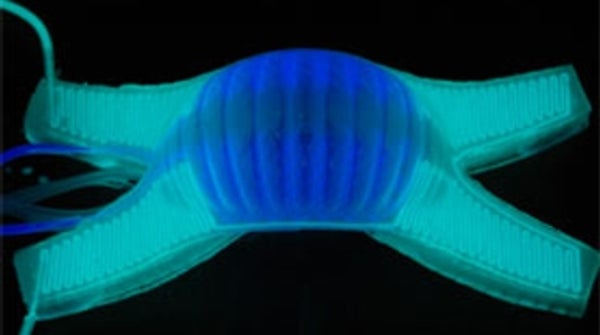 Soft Touch: Squishy Robots Could Lead to Cheaper, Safer Medical Devices ...