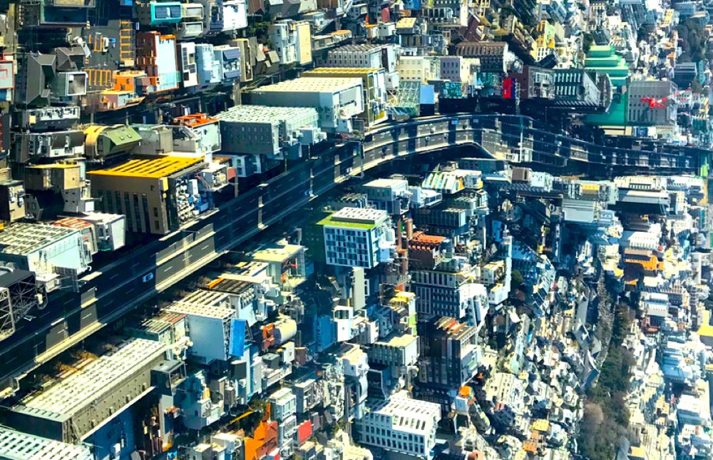 We Are the Aliens | Scientific American