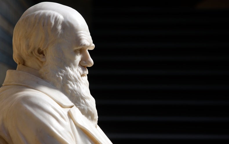 Darwin's Influence on Modern Thought - Scientific American