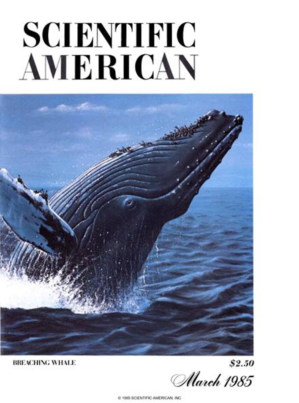 Scientific American Volume 252, Issue 3 | Scientific American