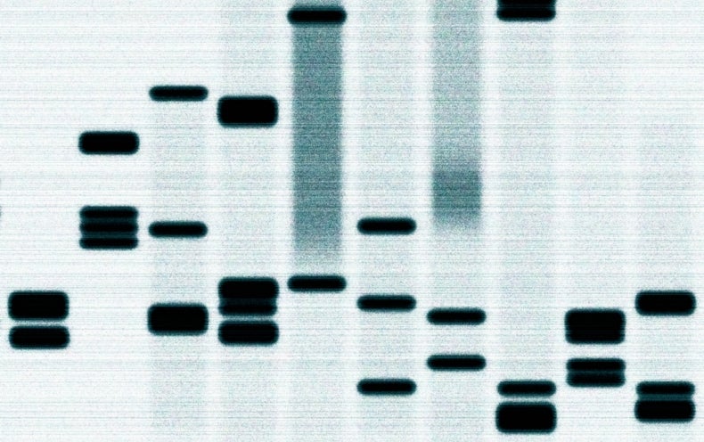 When DNA Differences Matter - Scientific American