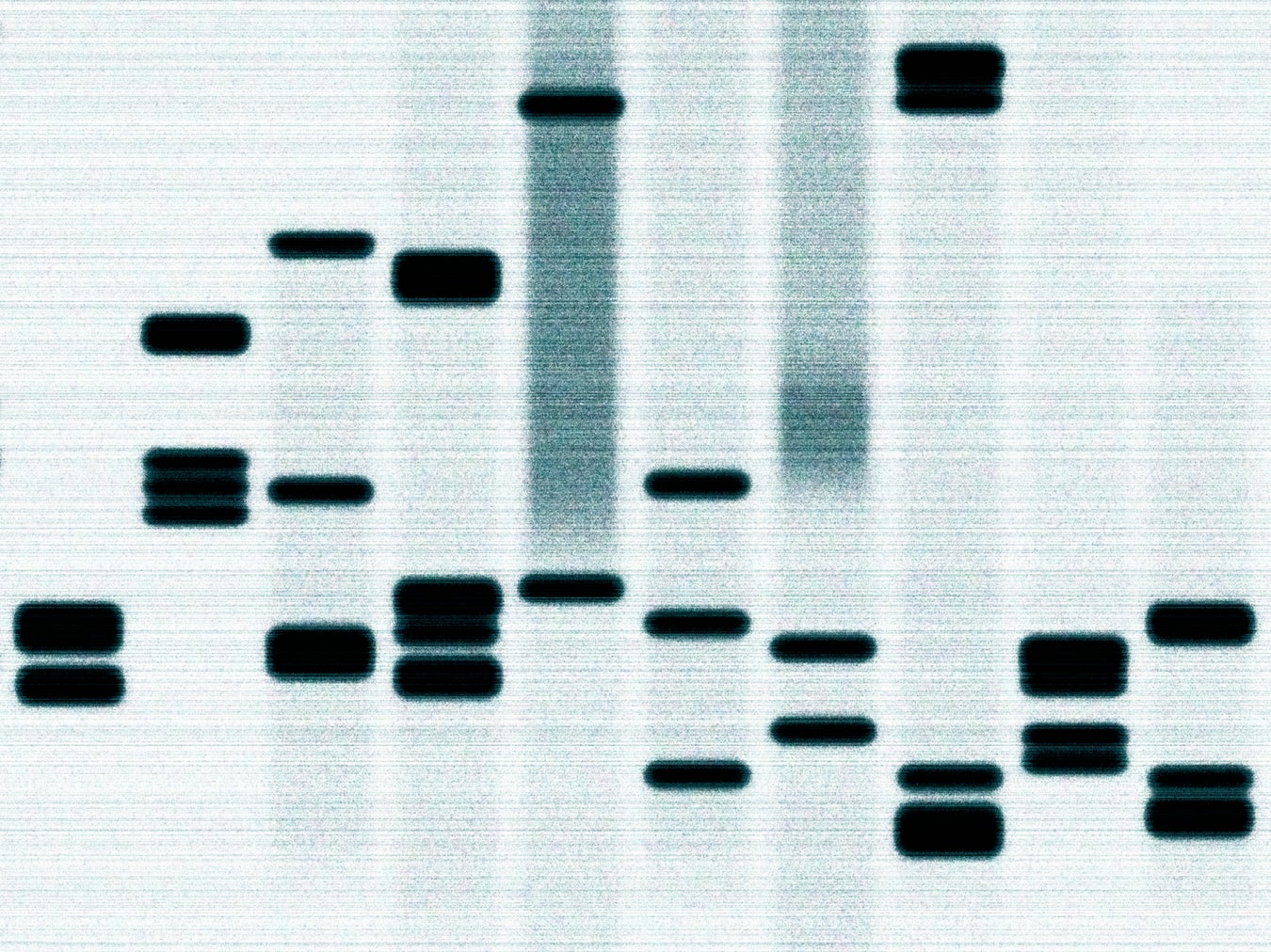 When DNA Differences Matter | Scientific American