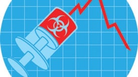 Stories by Carla Power News and Research - Scientific American