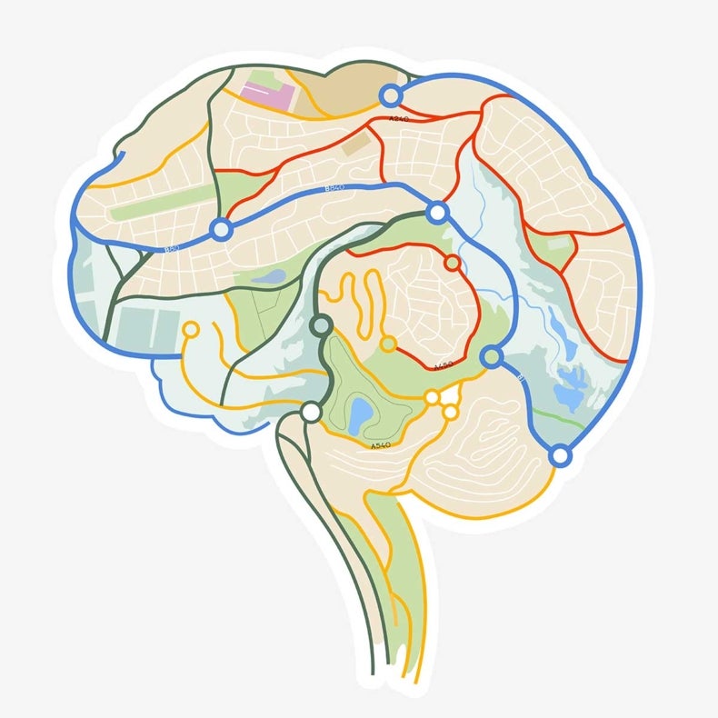 How the Brain Finds Its Way [Video] - Scientific American