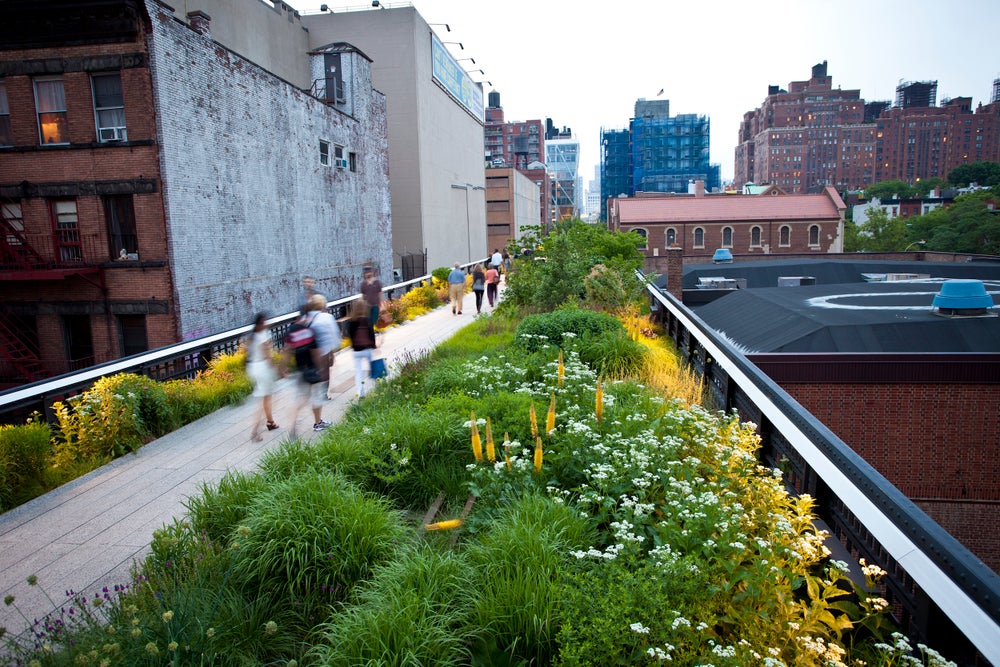 Who Benefits from Public Green Space? | Scientific American