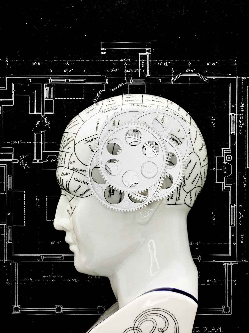 How the Brain Creates a Chronology of Consciousness | Scientific American