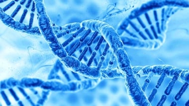 Customized Human Genes: New Promises and Perils - Scientific American