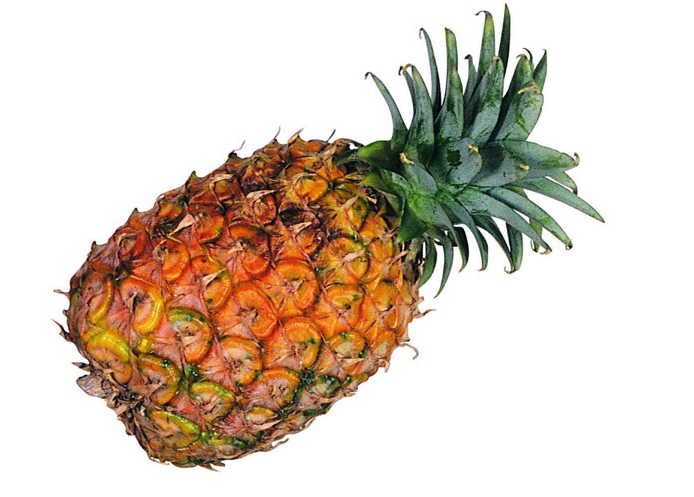 Pineapple Waste Won't Be Wasted | Scientific American