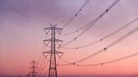 Stories by Daniel Cusick - Scientific American