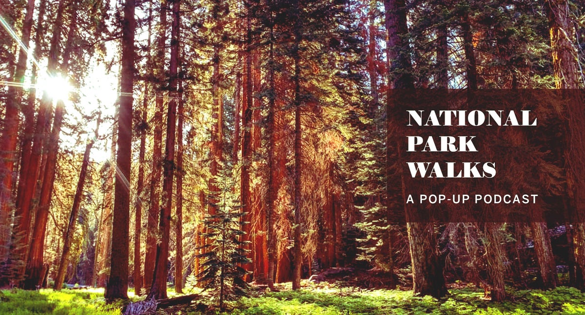National Park Nature Walks, Episode 5: A Northwoods Voyage | Scientific ...