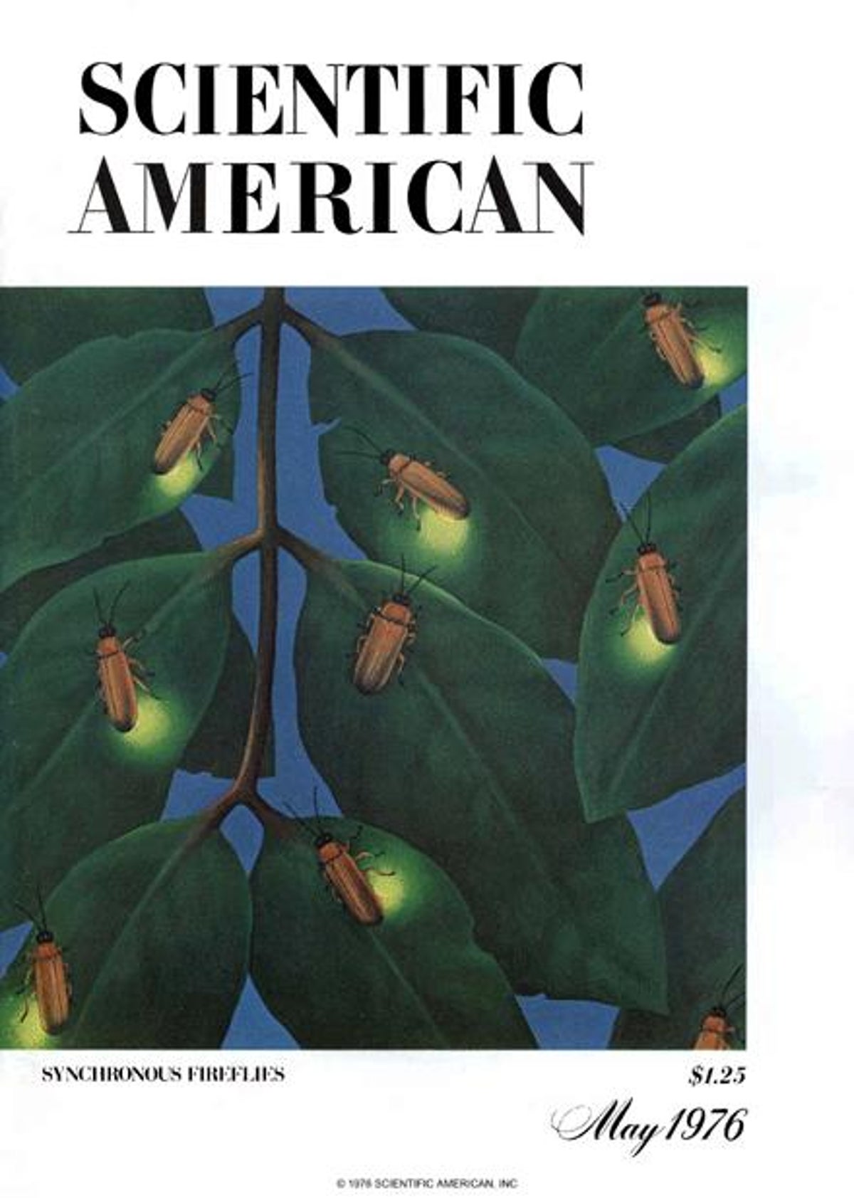 Scientific American Volume 234, Issue 5 | Scientific American
