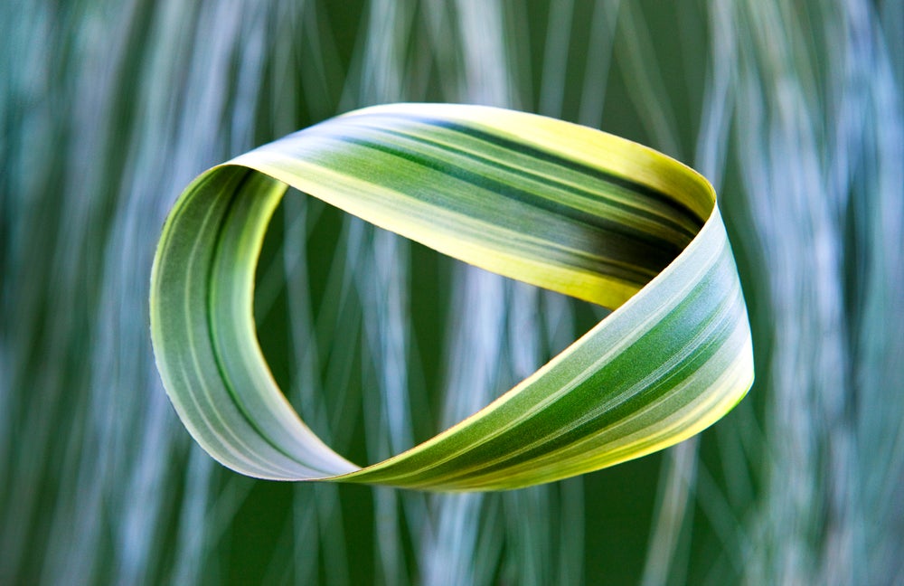 The Timeless Journey of the Möbius Strip | Scientific American