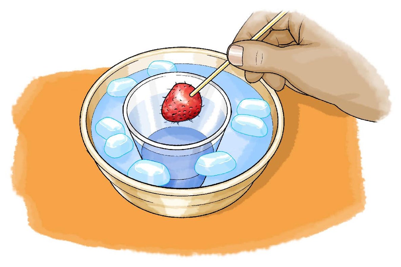 Freeze Your Fruit with Science! | Scientific American
