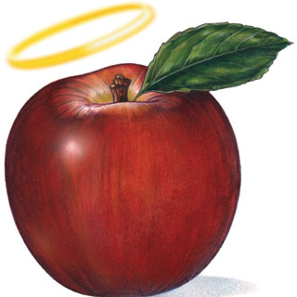 Do All Companies Have to be Evil? | Scientific American