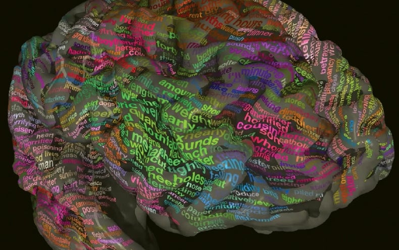Where Words are Stored: The Brain's Meaning Map - Scientific American