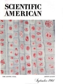 How Things get into Cells - Scientific American