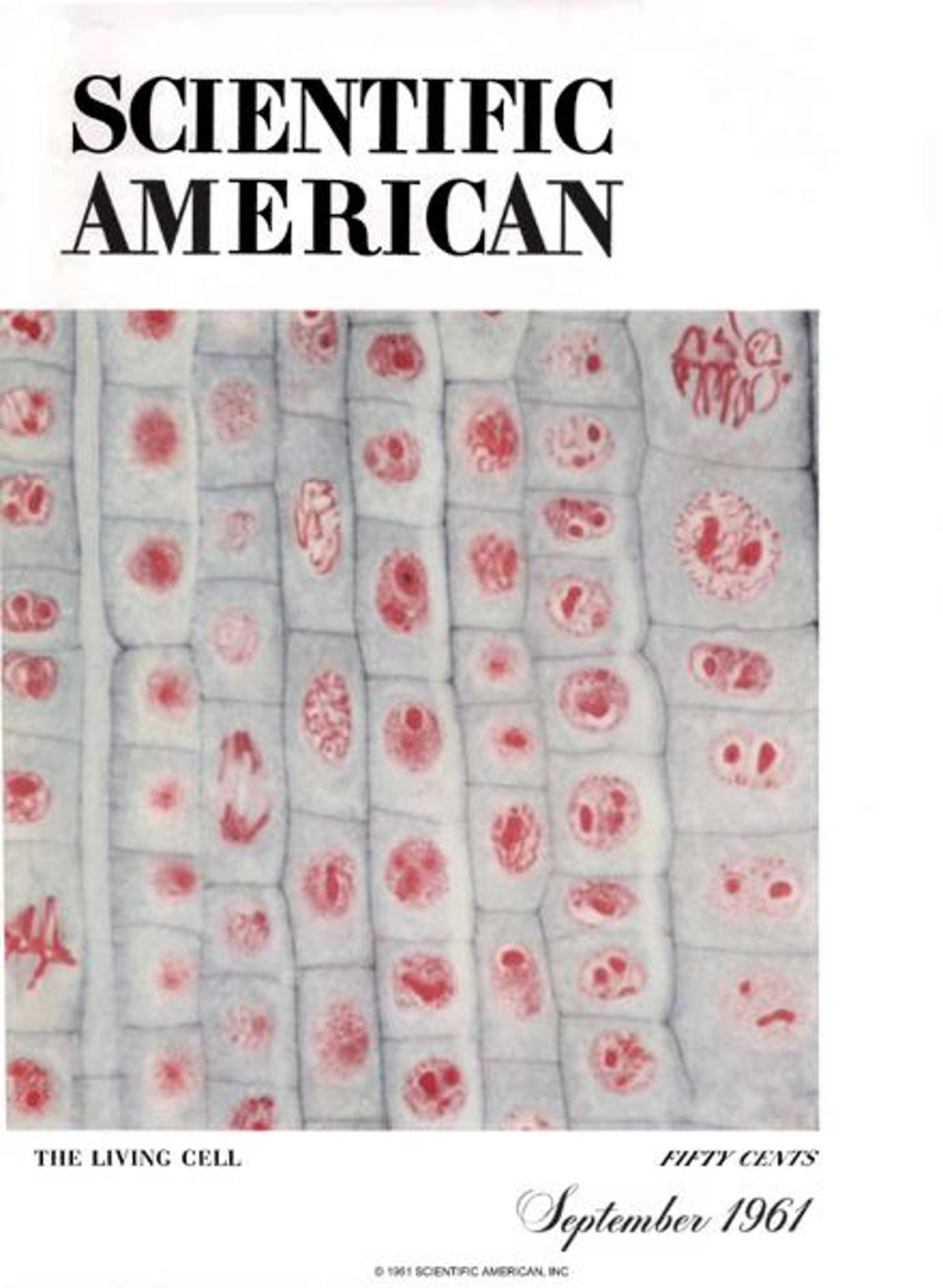 Scientific American Volume 205, Issue 3 | Scientific American