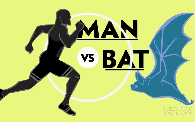 An Olympic Showdown: Human versus Bat - Scientific American