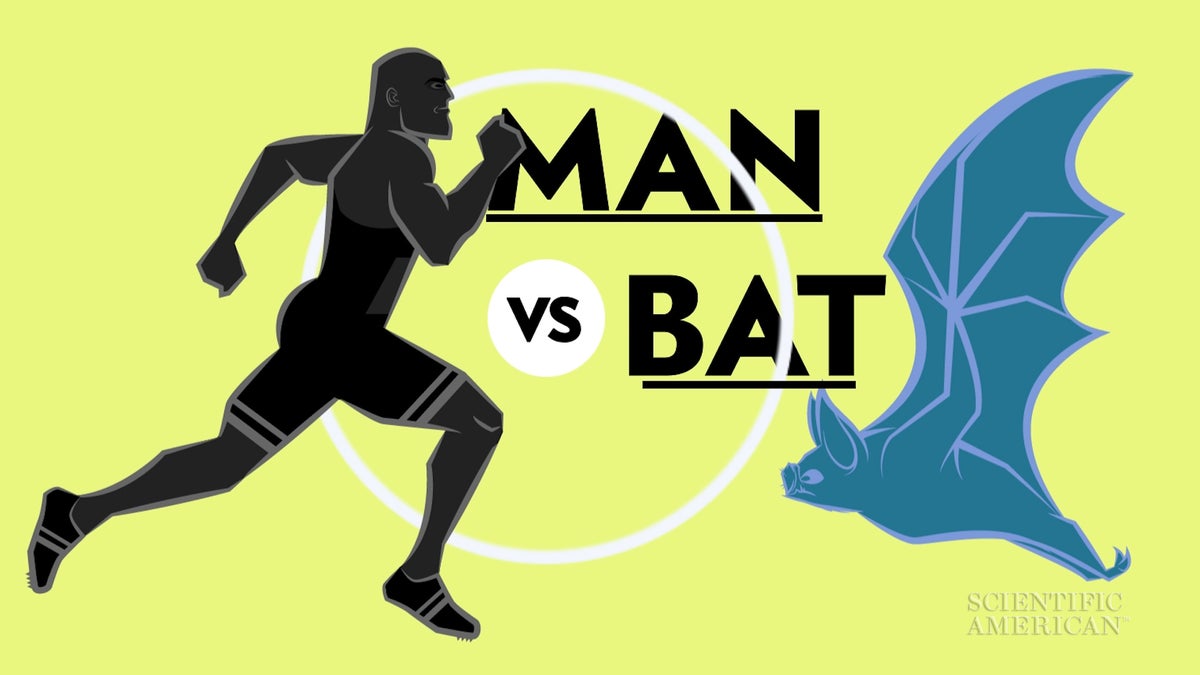 An Olympic Showdown: Human versus Bat | Scientific American