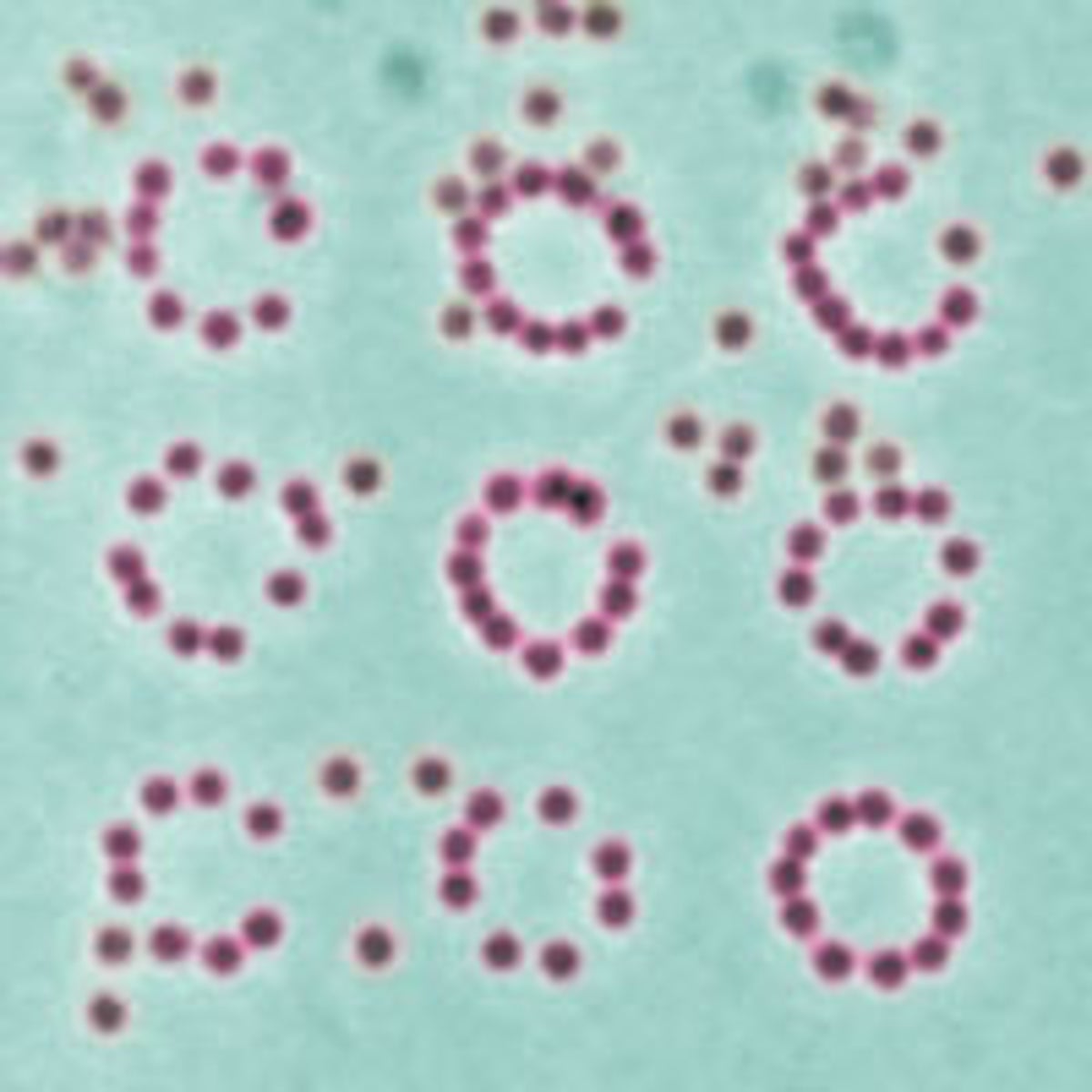 Roscoelite, A Vanadium Mica | Scientific American