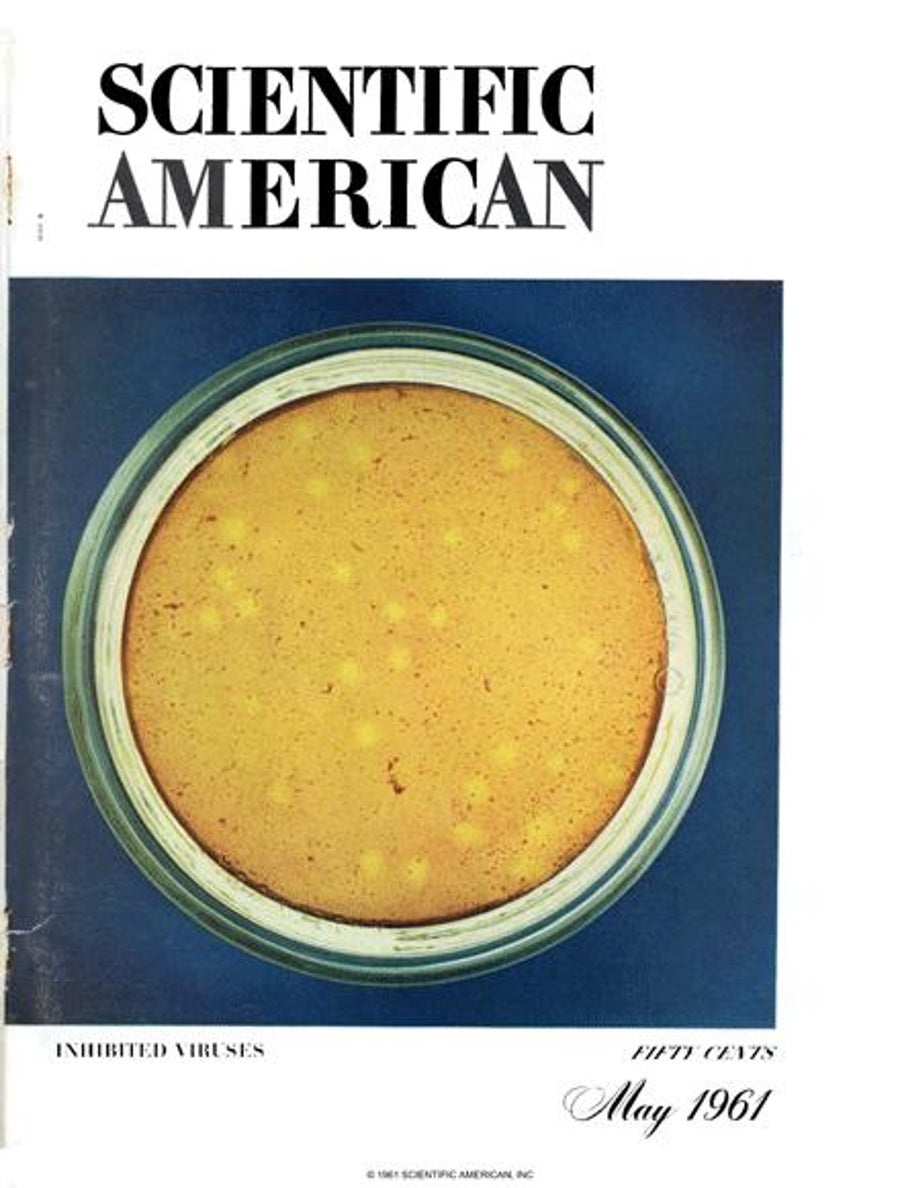 Scientific American Volume 204 Issue 5 Scientific American 