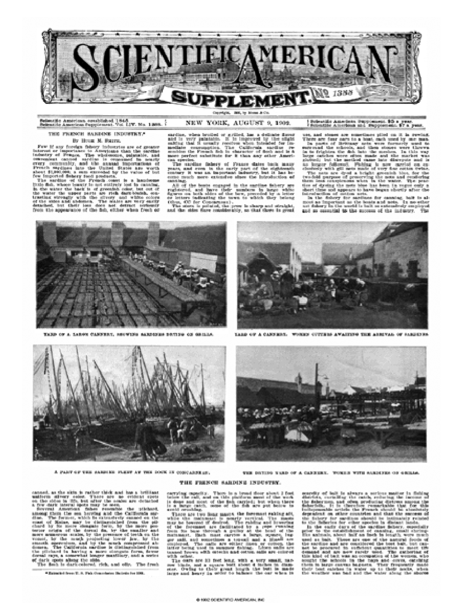 Issue Archive - 1902 | Scientific American