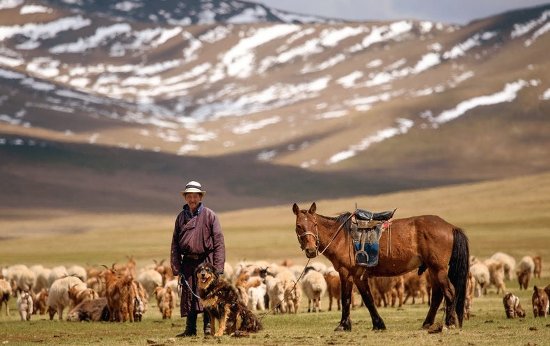 Could Dogs Help Save the Mongolian Steppe? - Scientific American