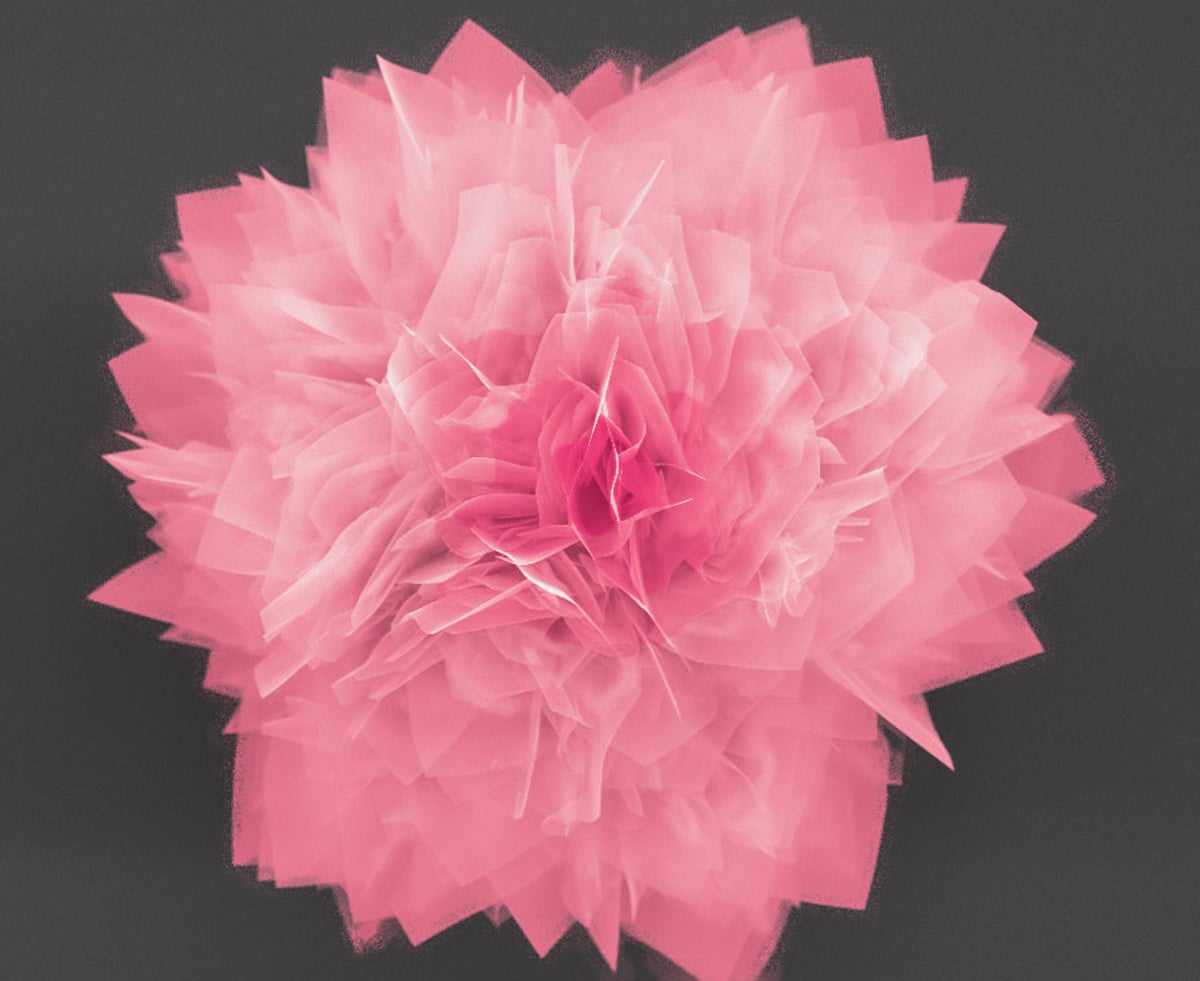"Nanoflower" Design May Improve Solar Cells | Scientific American
