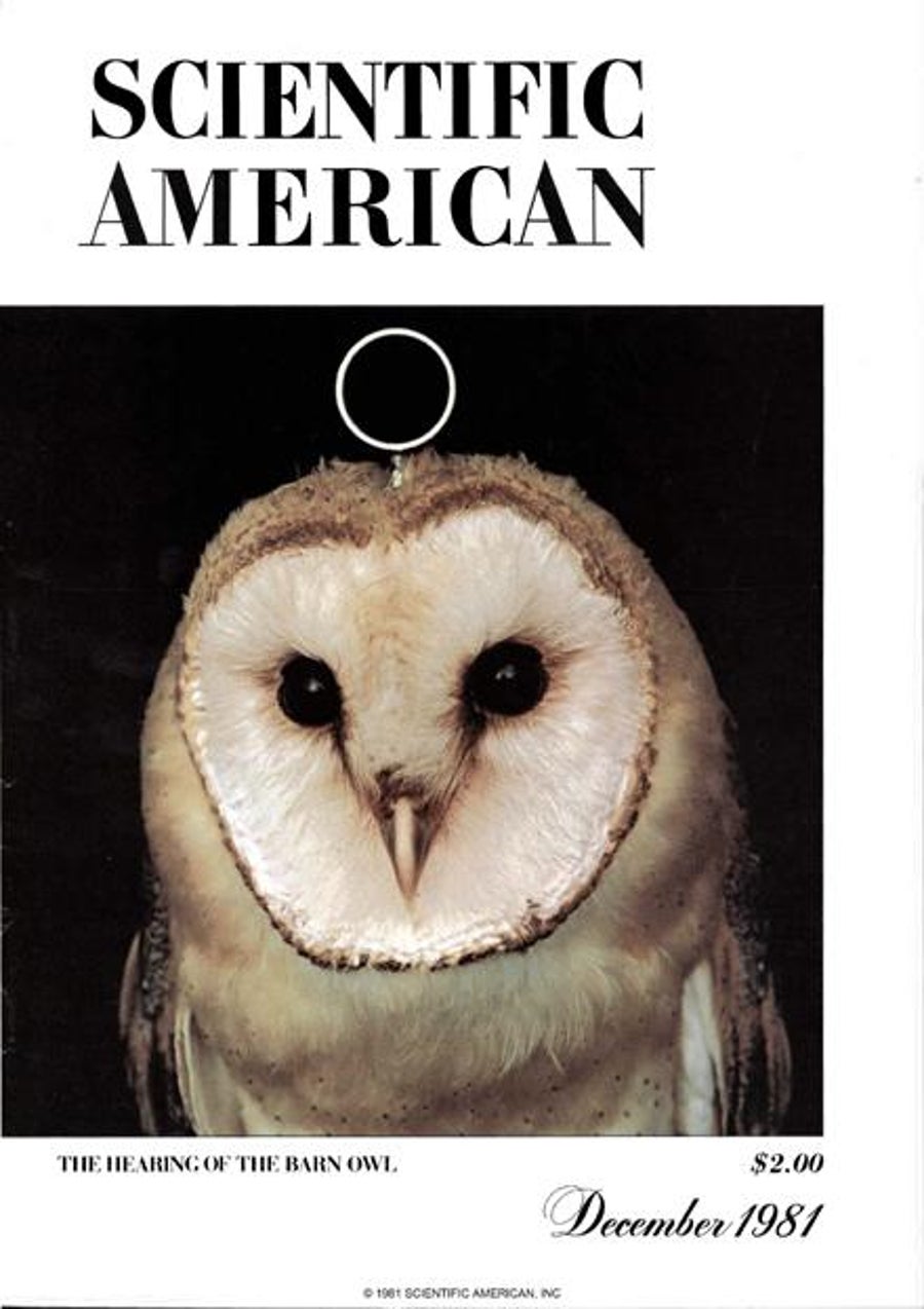 The Hearing of the Barn Owl | Scientific American