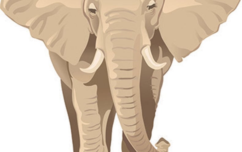 3 Books Explore the Inner World of Animals - Scientific American