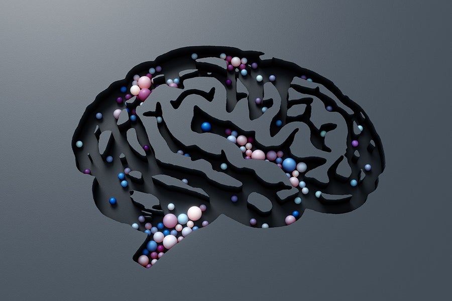 Forgotten Memories May Remain Intact in the Brain | Scientific American