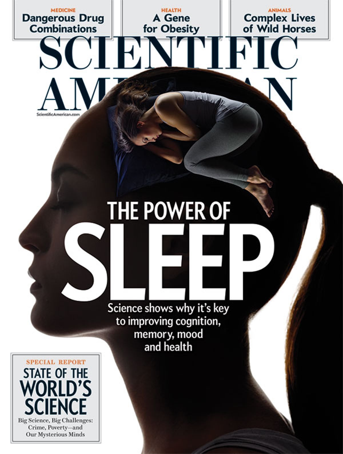Readers Respond to "The Power of Sleep" | Scientific American