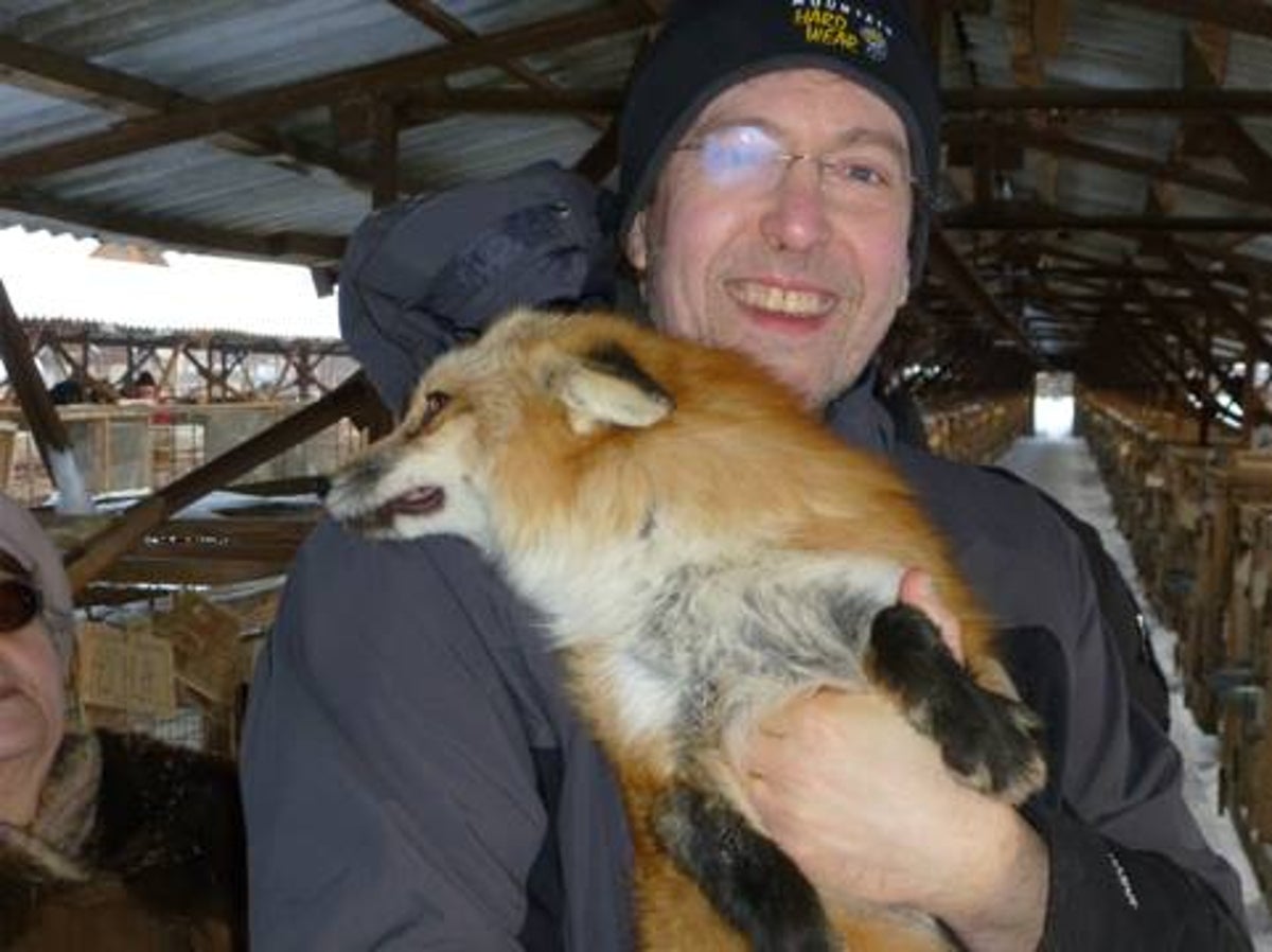 Selective Breeding Molds Foxes into Pets | Scientific American