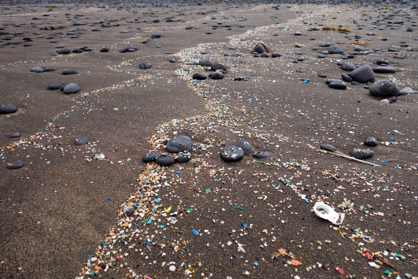 Microplastics Pollution Is Everywhere. Is It Harmful? | Scientific American
